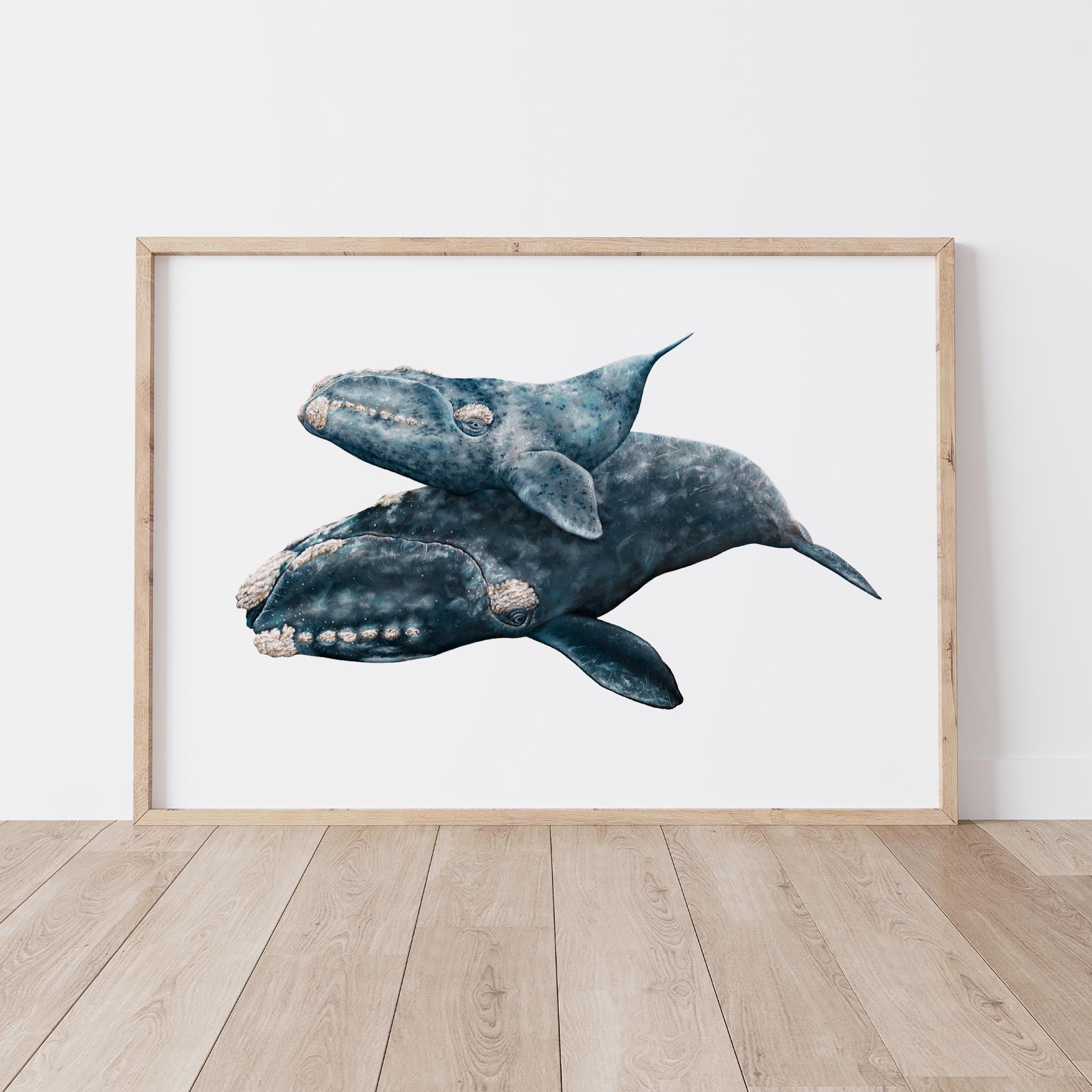 Southern Right Whales, Mother & Calf | Limited Edition Print – Brittany ...