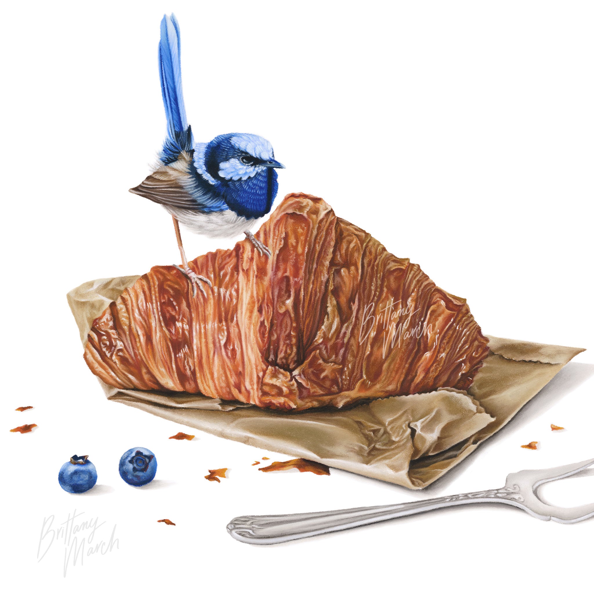 Fairy-wrens and Croissant, "A Not so Still Life" Collection | Limited ...