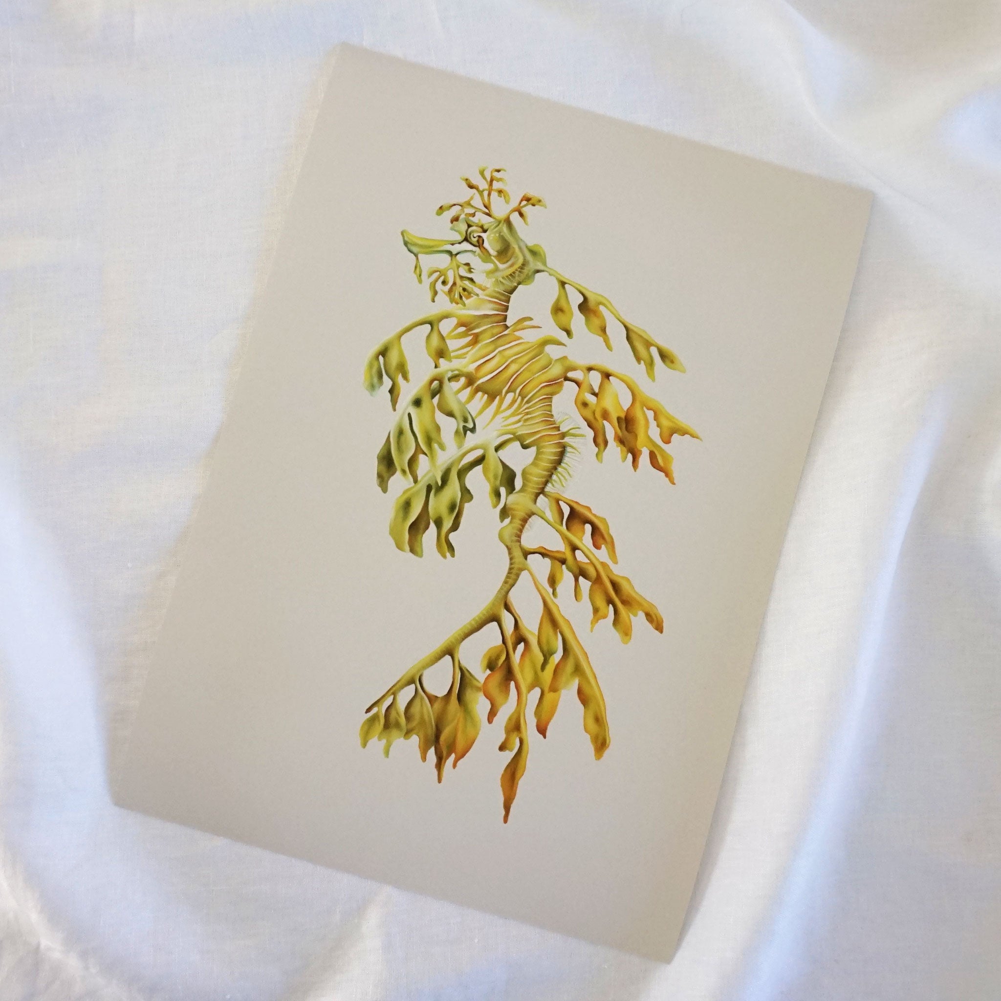 Brittany March, Australian Artist & Designer.