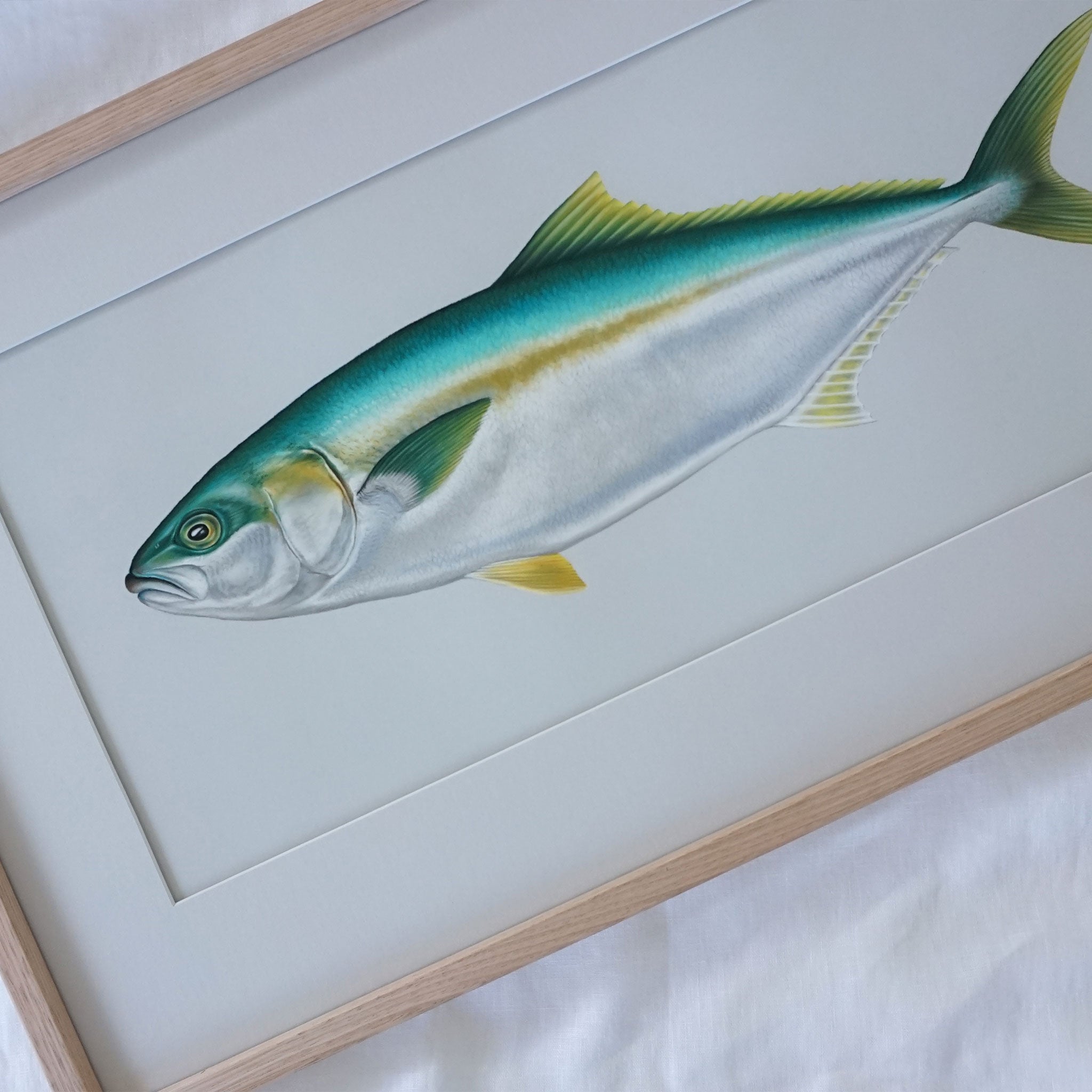 Original Yellowtail Kingfish Artwork – Brittany March