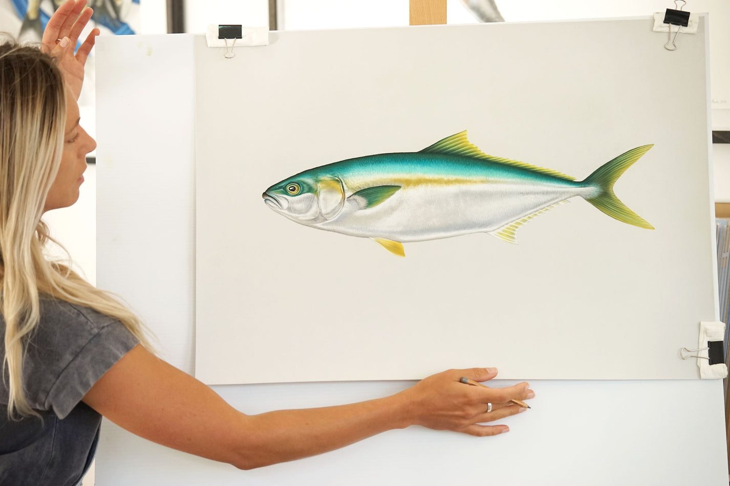 Yellowtail Kingfish | Limited Edition Print – Brittany March