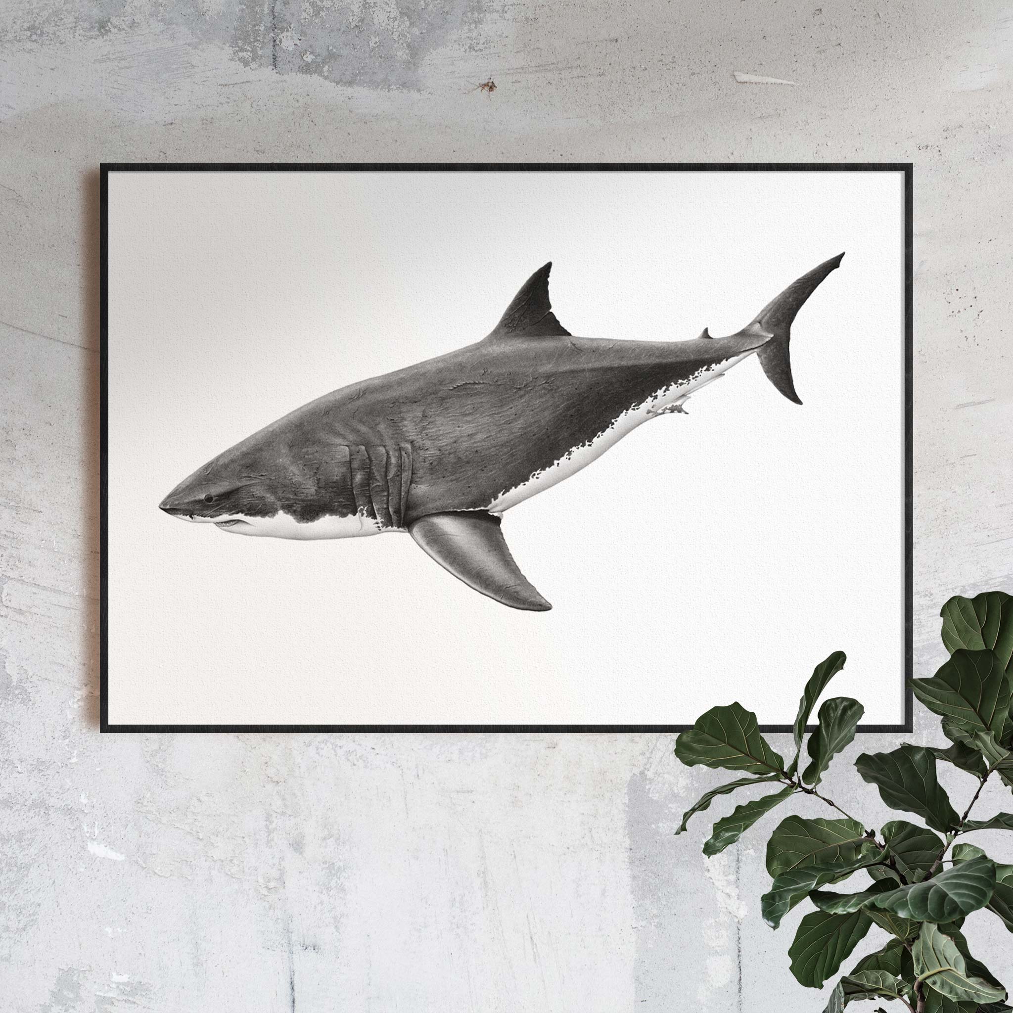Fine Art Prints – Brittany March