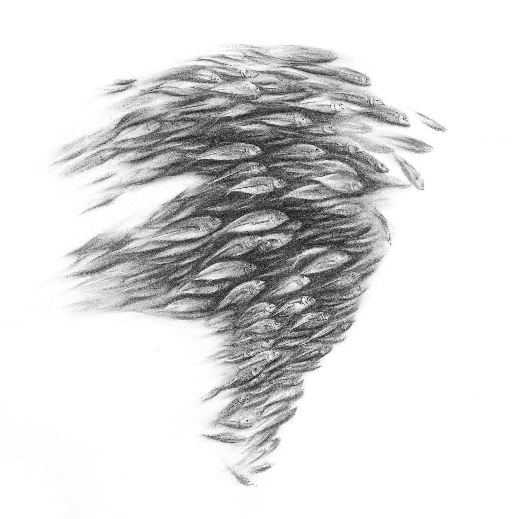 Original Vortex Artwork - charcoal on paper – Brittany March